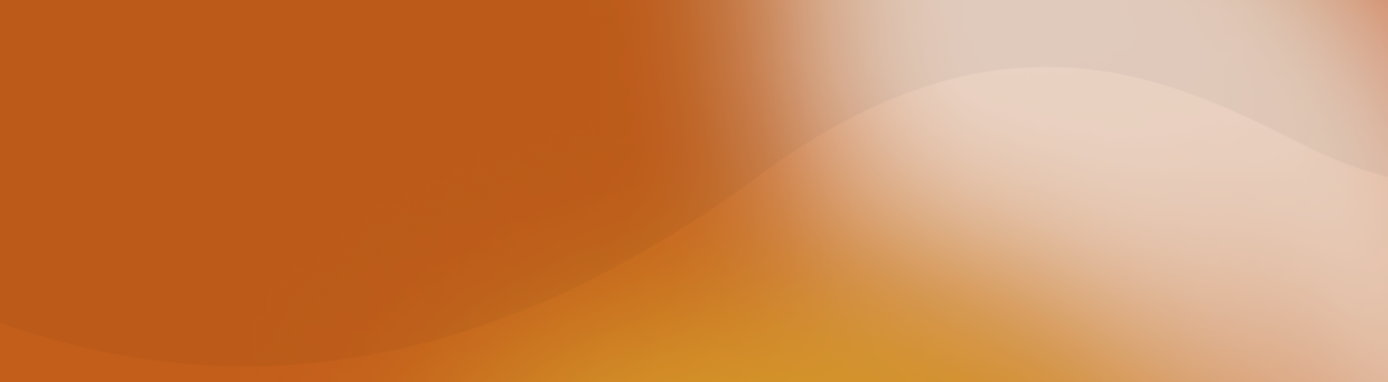 Ottawa Immigration Strategy : OLIP - Ottawa Local Immigration Partnership