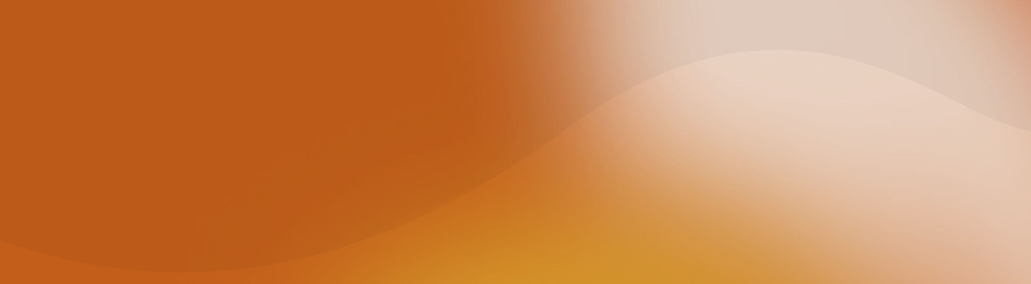 Ottawa Immigration Strategy : OLIP - Ottawa Local Immigration Partnership