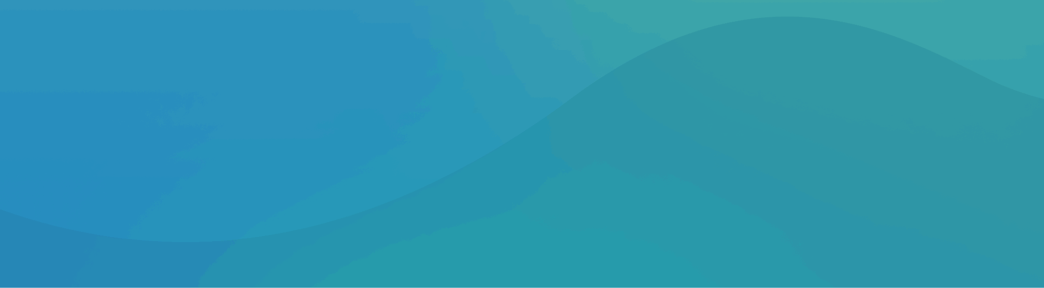 OLIP Executives : OLIP - Ottawa Local Immigration Partnership